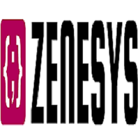 Zenesys Technosys Company Profile | Reviews | Portfolio - TopDevelopers.co