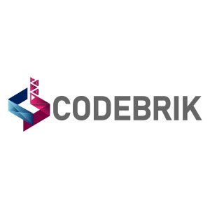 Codebrik Solution LLP Company Profile | Reviews | Portfolio - TopDevelopers.co