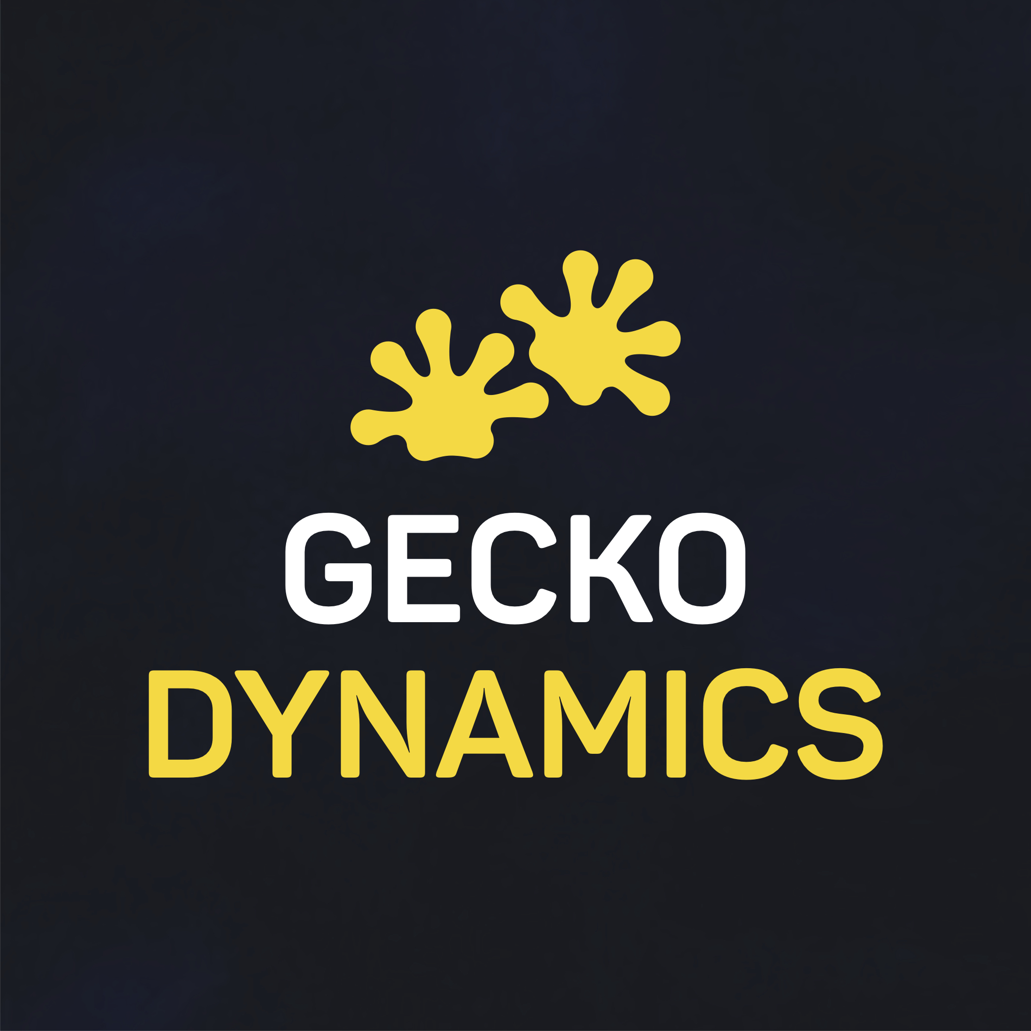 Gecko Dynamics Company Profile | Reviews | Portfolio - TopDevelopers.co