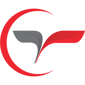 Tech Celerity Global Solutions Company Profile | Reviews | Portfolio ...