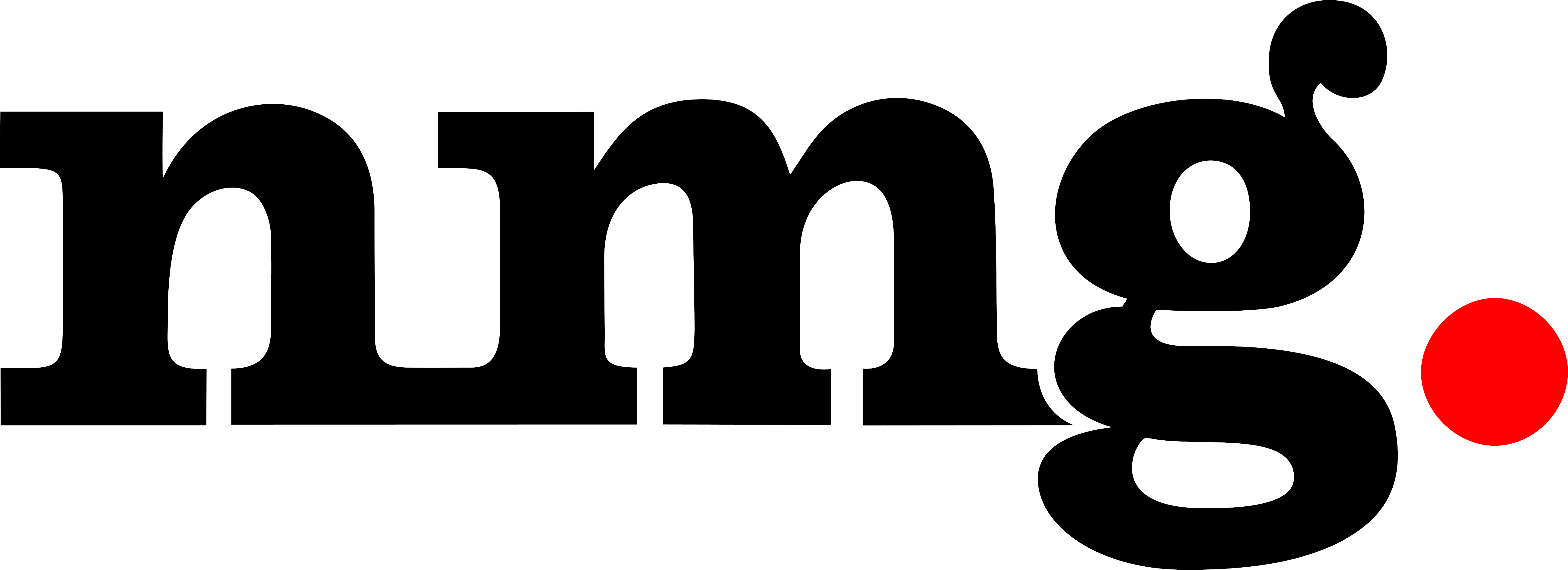 NMG Technologies Company Profile | Reviews | Portfolio - TopDevelopers.co