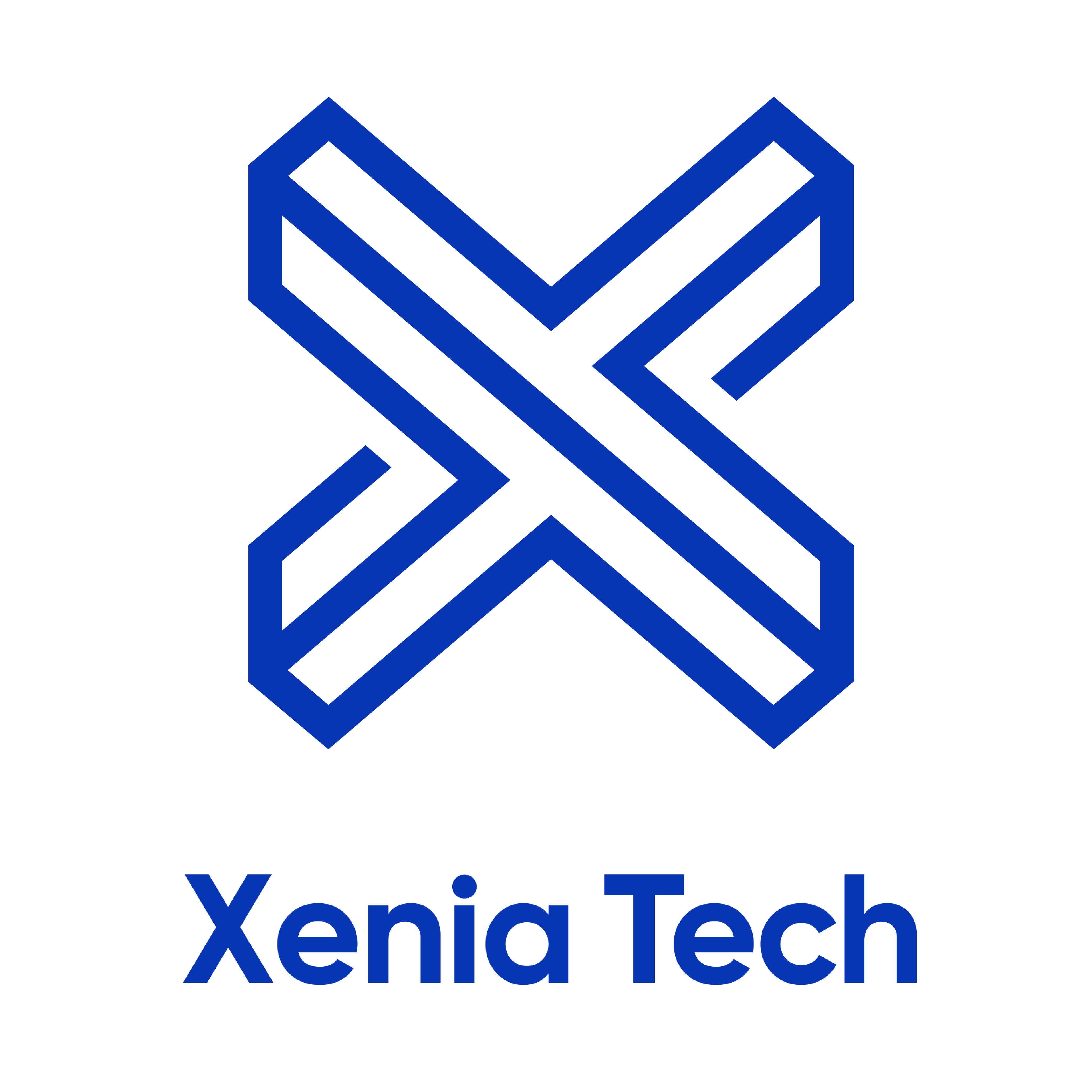 Xenia Tech Company Profile | Reviews | Portfolio - TopDevelopers.co